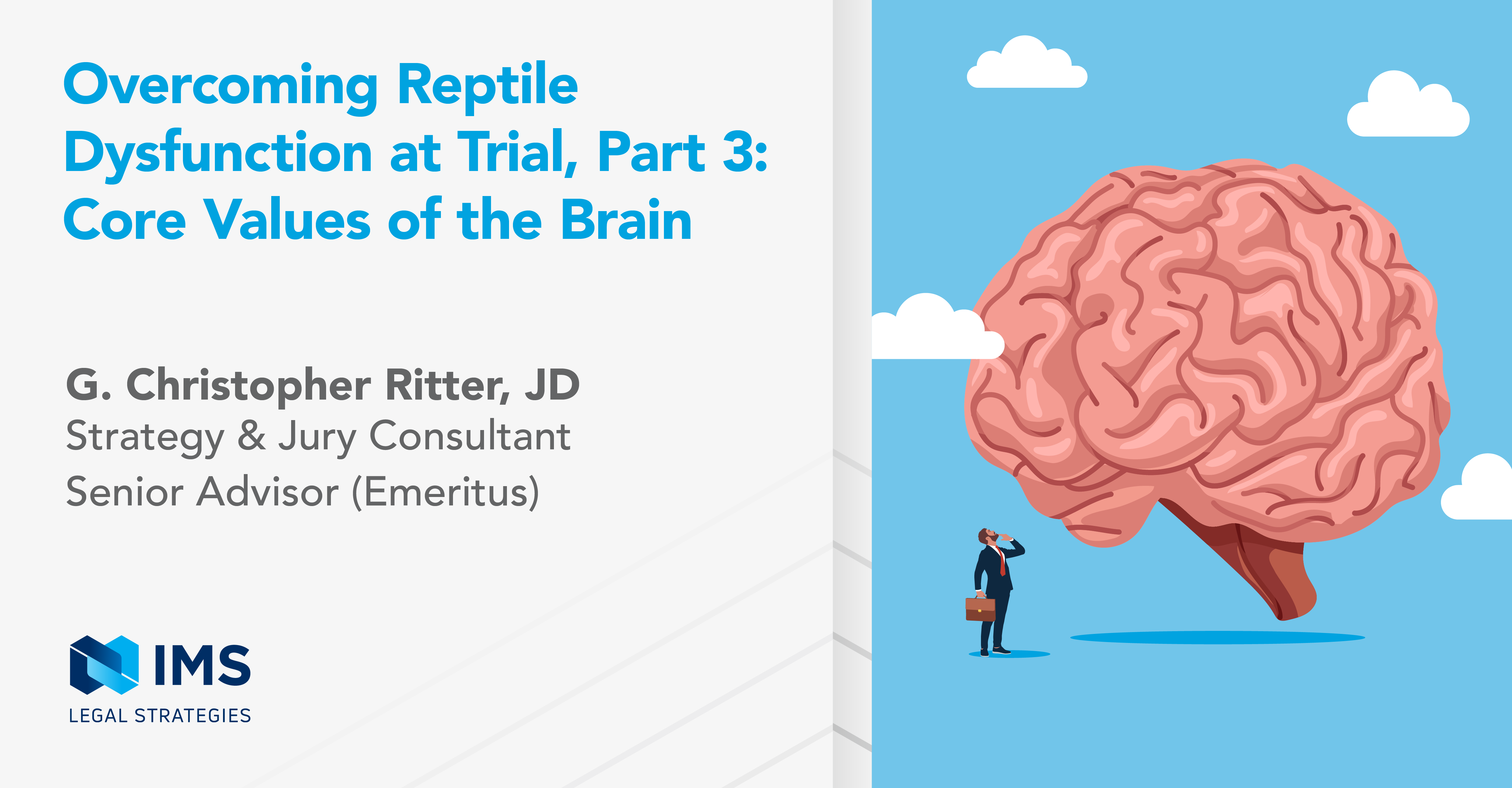 Overcoming Reptile Dysfunction at Trial, Part 3: Core Values of the ...